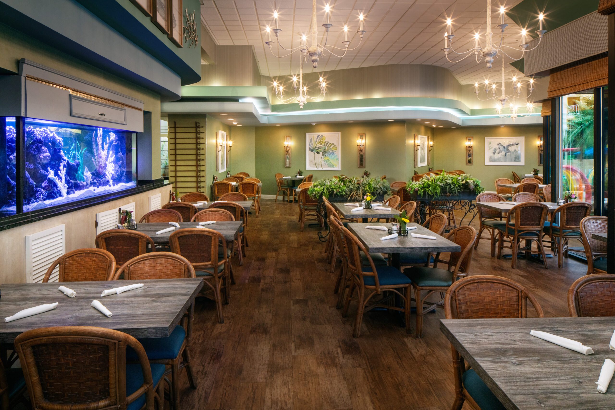 Special Offers - Coral Beach